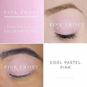 LipSense | Makeup | Last One Pink Frost Shadowsense | Poshmark